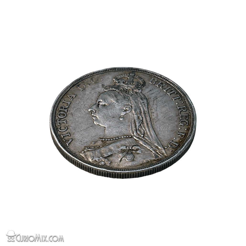 Queen Victoria Coin 1891 - Curio Mix